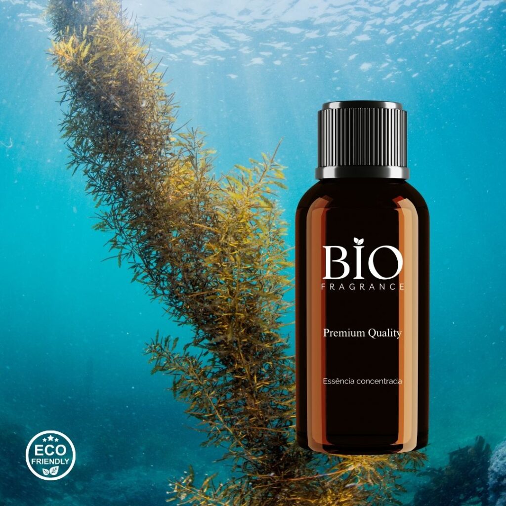 Essência Algas Marinhas 100ml - Bio Fragrance